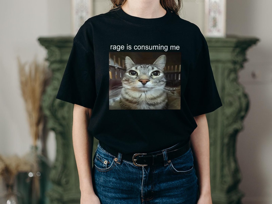 Silly Cat Meme T-shirt, Rage is Consuming Me, Funny Staring Cat Tee ...