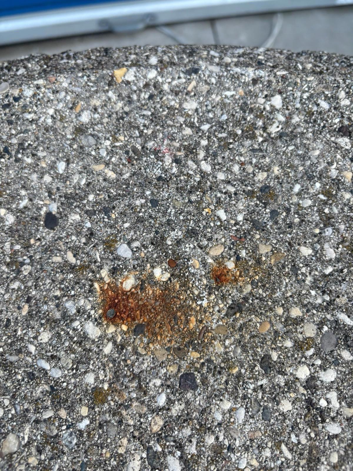 Vintage Coastal Cast Concrete Grotto Table Outdoor Garden Patio Decor ...