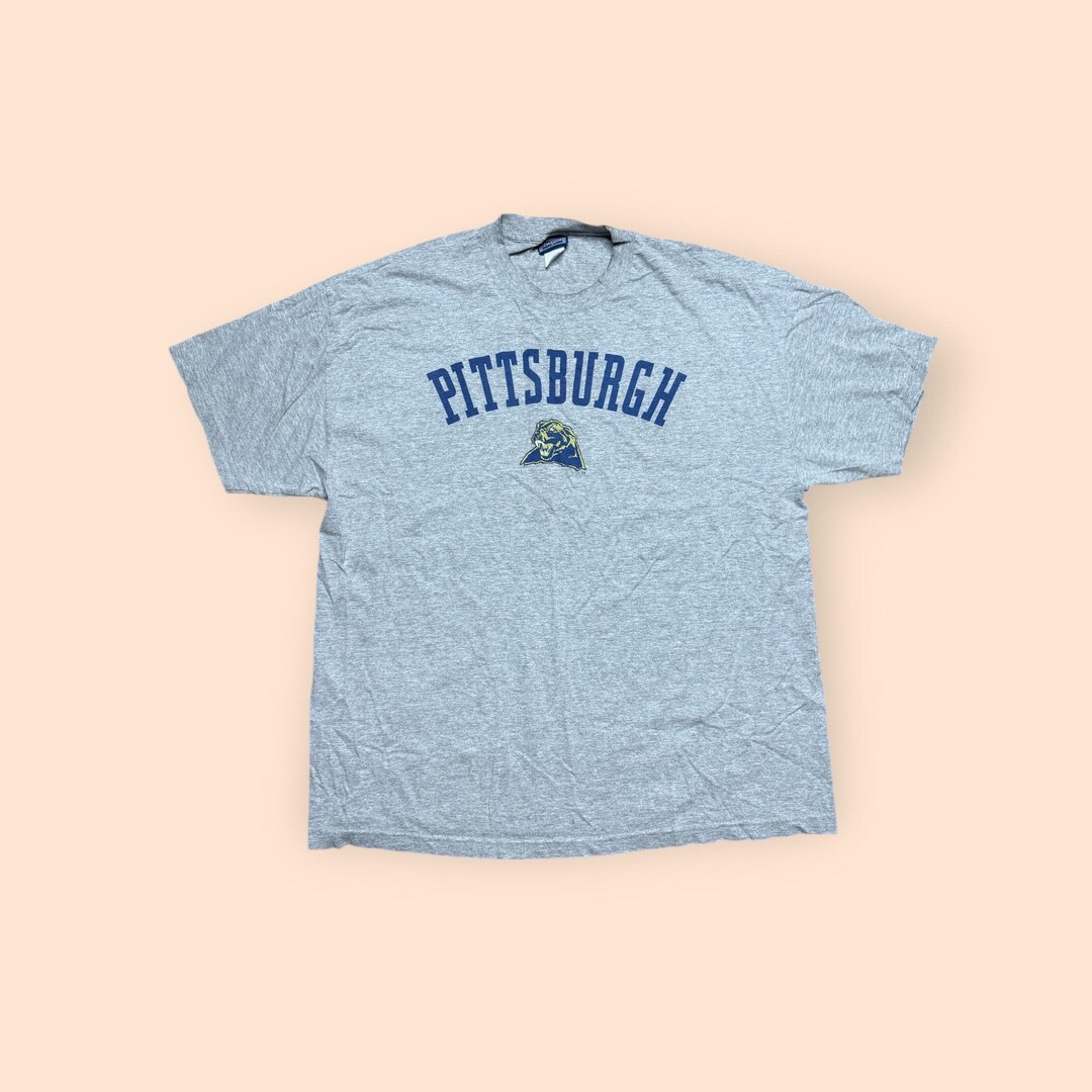 Vintage Pitt Panthers Y2K T Shirt Men’s 2XL Gray Vtg 2000s - Etsy