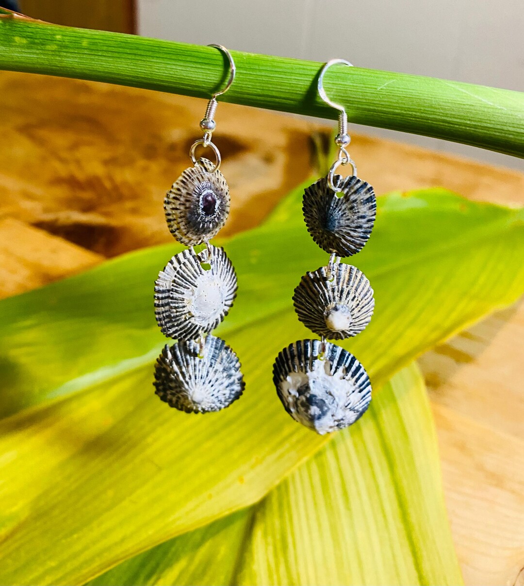 Hawaiian Opihi Shell Earrings - Etsy