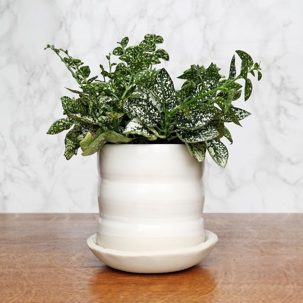 Large White Ceramic Planter - Etsy