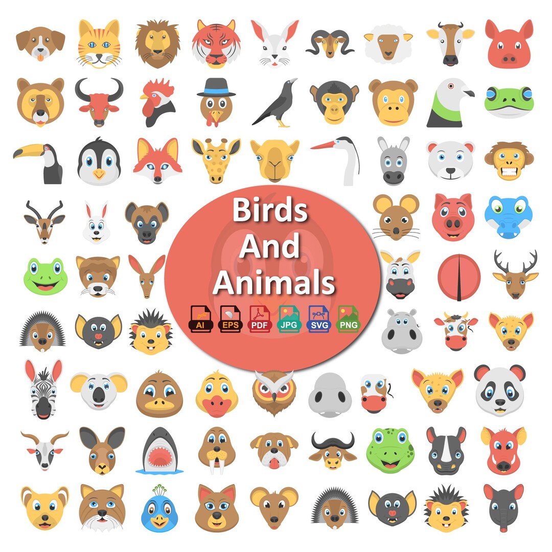 Animals and Birds: Exploring Wildlife Diversity, Natural Habitats, and ...