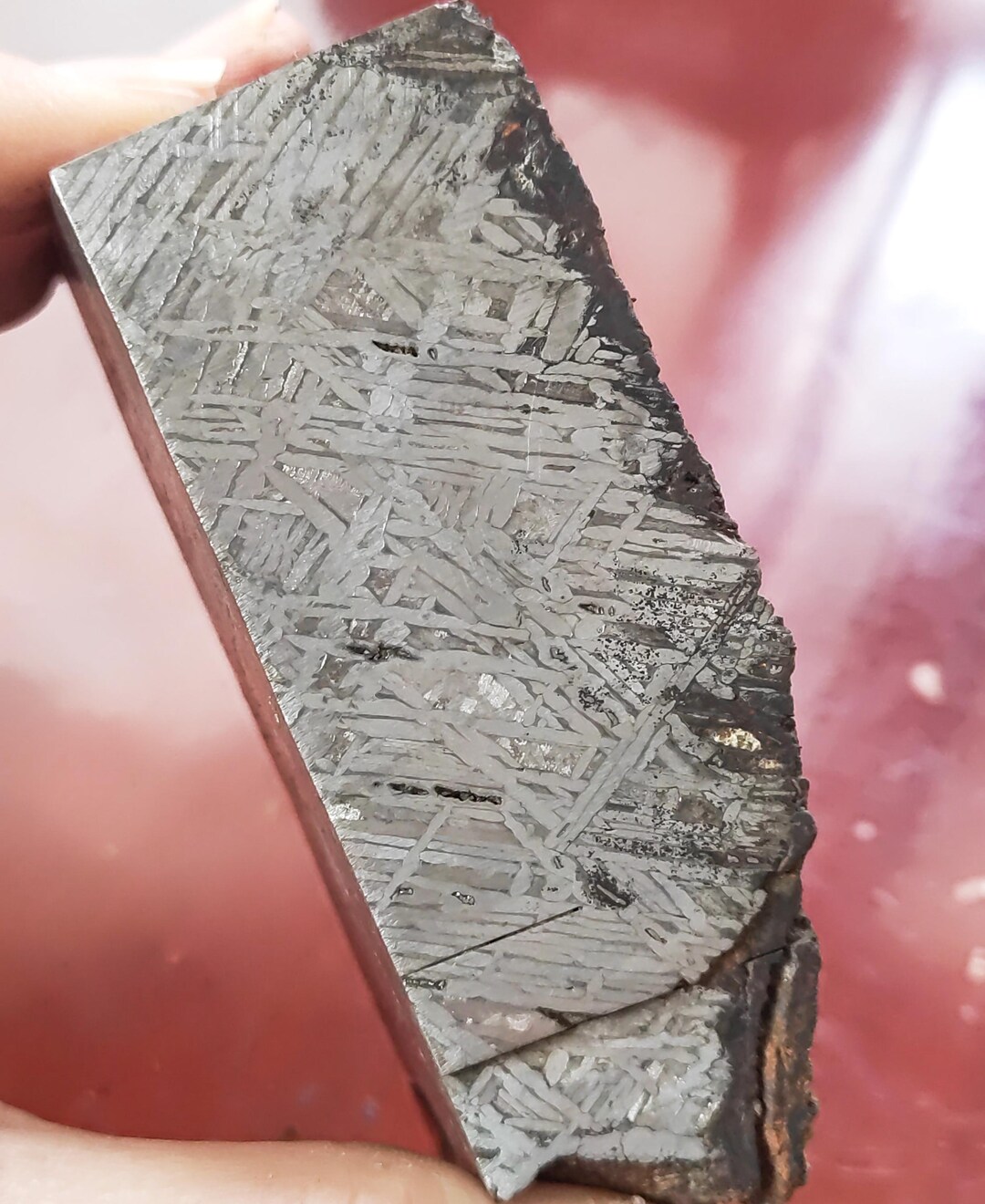 566.5g Muonionalusta Meteorite Slice Natural Meteorite Material ...