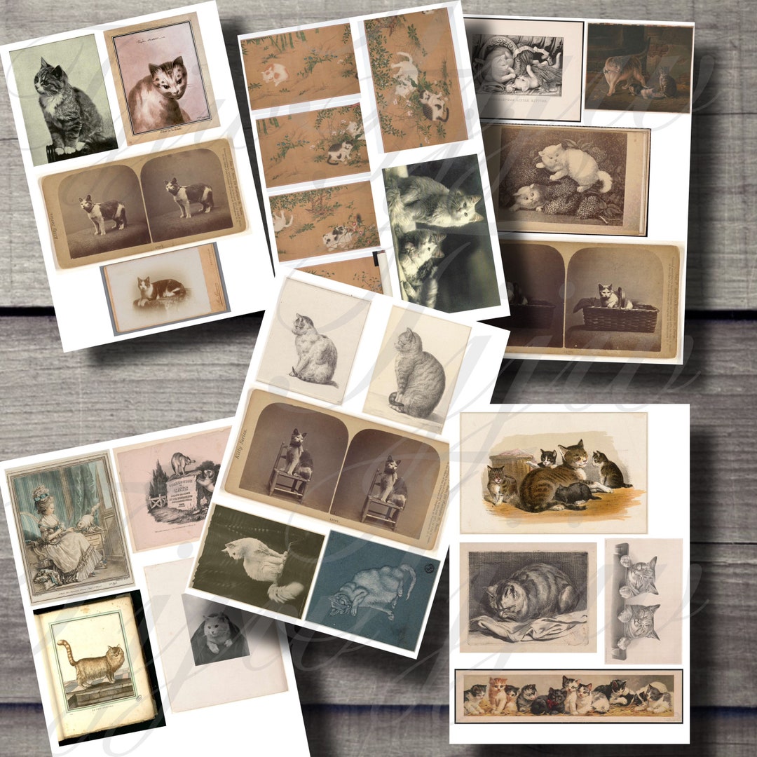 Vintage Cats Printable, Old Cats Cards, Junk Journal, Cats Pictures ...