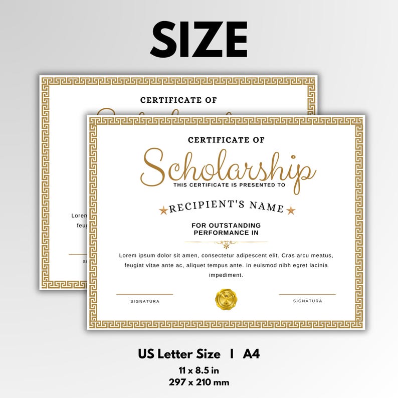 Editable Scholarship Award Template, School Award Certificate ...