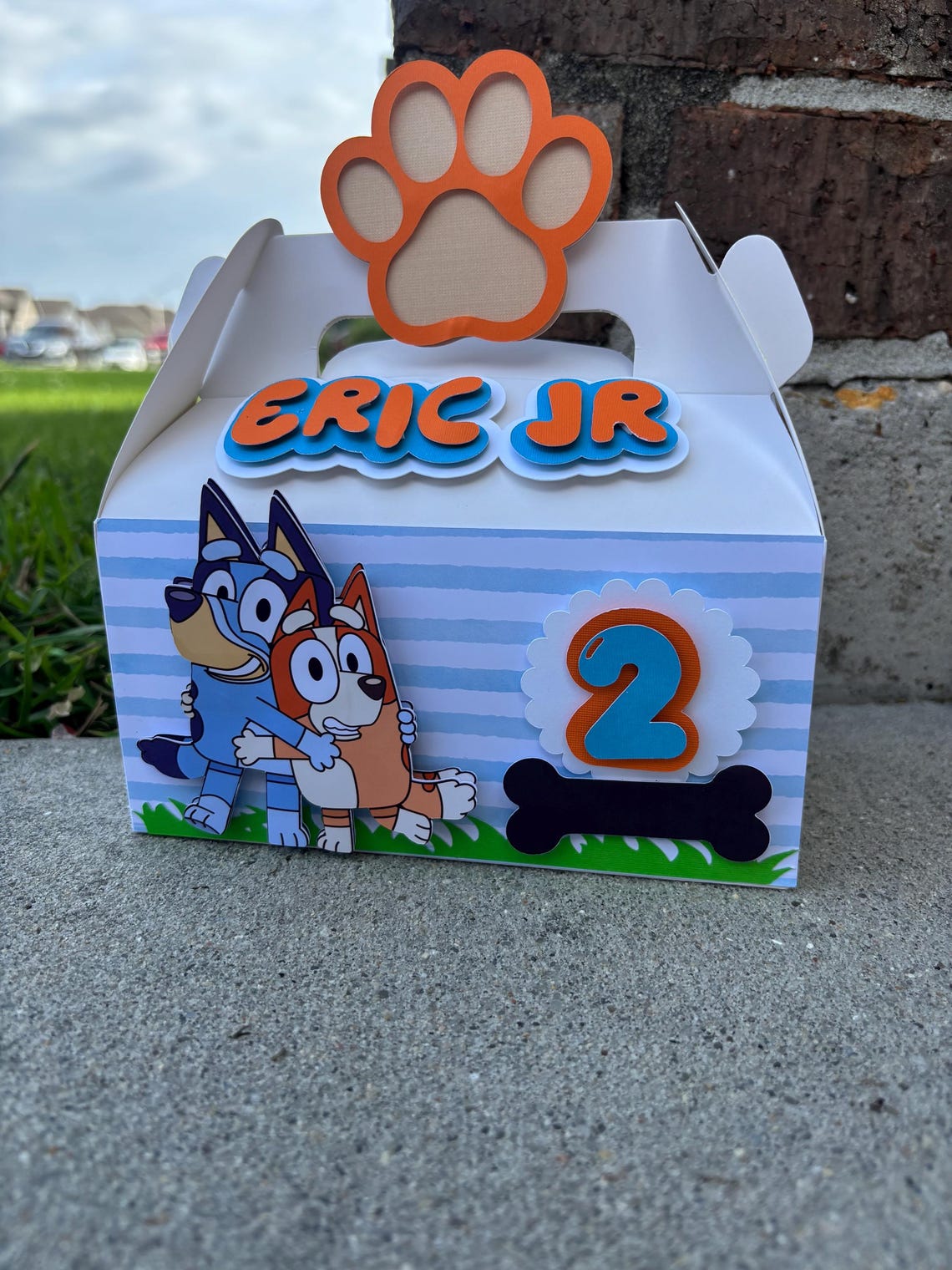 Bluey Party Favor Boxes - Etsy