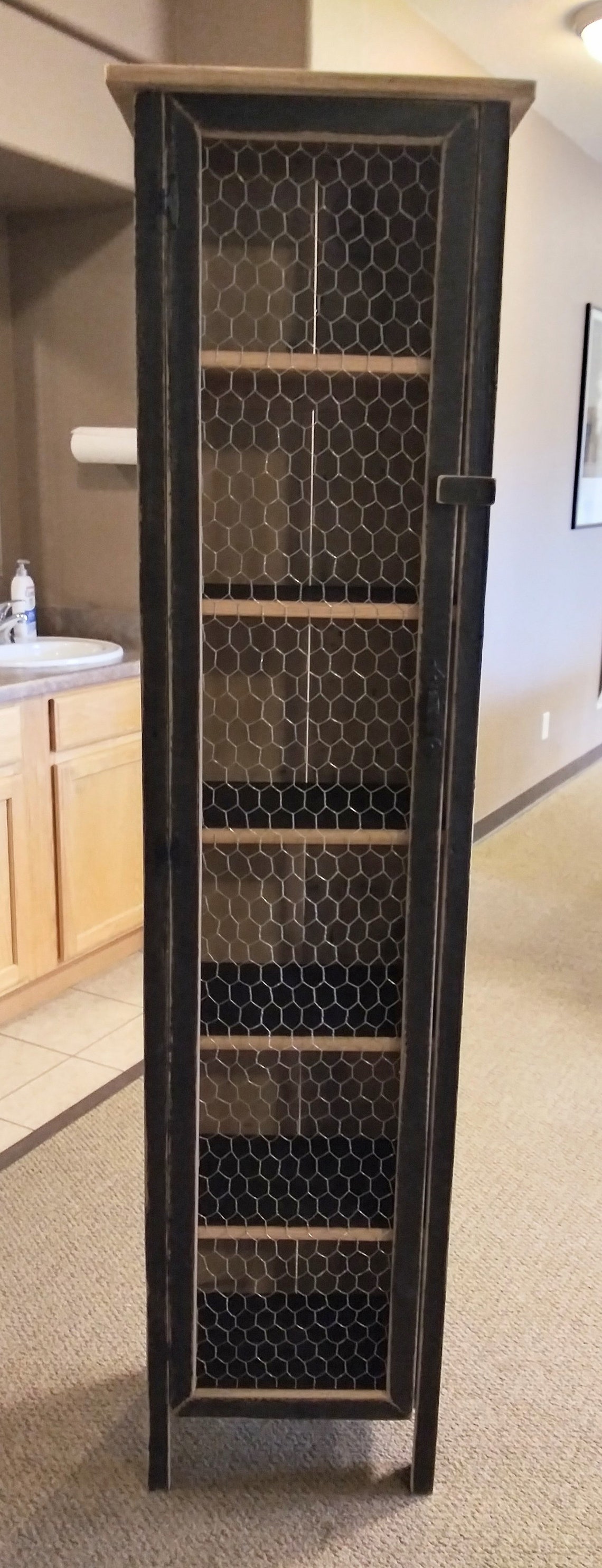 Black Chicken Wire Door Cabinet - Etsy