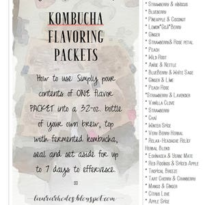 Kombucha Tea Flavoring Packet-sample Size*dried Fruit*second Brew*all ...