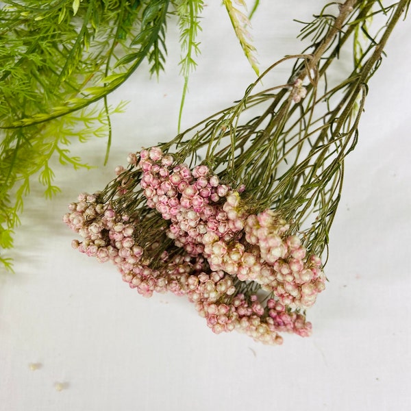 Light Pink Flowers - Etsy