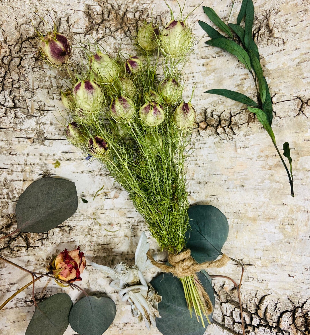 The Summer Harvest Collection: Dried Bundle Herbal Bundle - Etsy