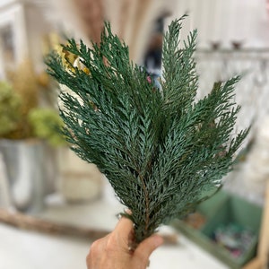 Preserved Cedar Bunches and Branches | Beautiful Seasonal Home Decor ...