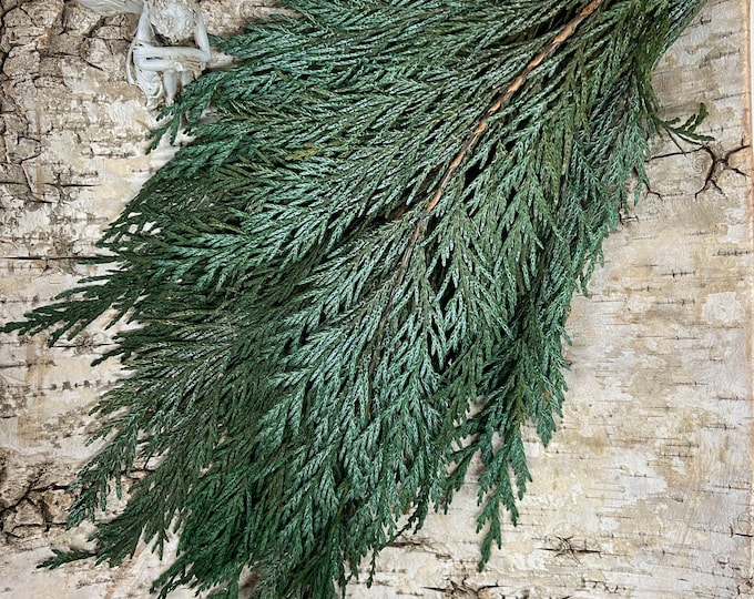 Winter Greenery Preserved Cedar Foliage / Cedar Greenery / Evergreen ...