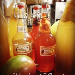 Kombucha Tea Flavoring Packet-sample Size*dried Fruit*second Brew*all ...