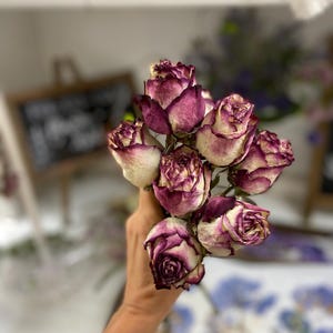Raspberry and Cream Bouquet - Etsy