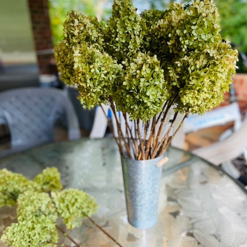 Dried Hydrangeas - Etsy