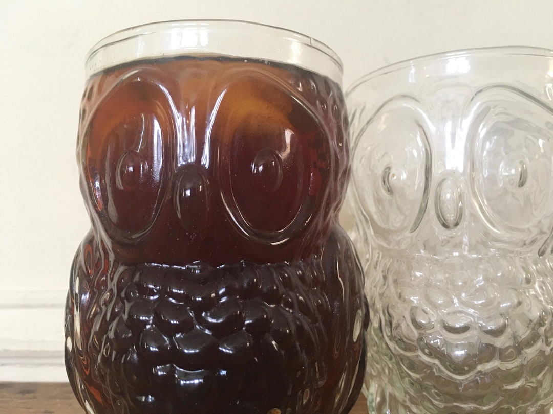Two Hoots 1970s Drinking Glasses Set of 2 Vintage Tumbler - Etsy