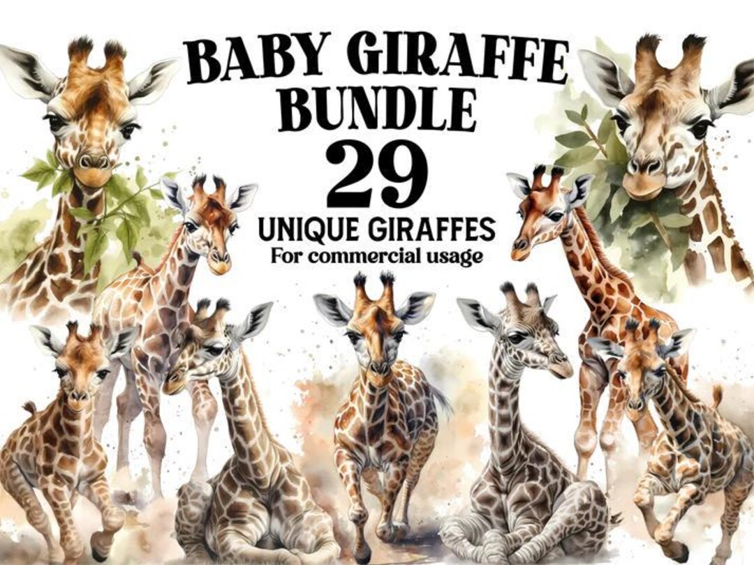 Baby Giraffes Bundle - Sublimation Design Colorful Design High ...