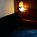 Sulphur-crested Cockatoo Night Light - Hand-painted & 3D Printed - Etsy