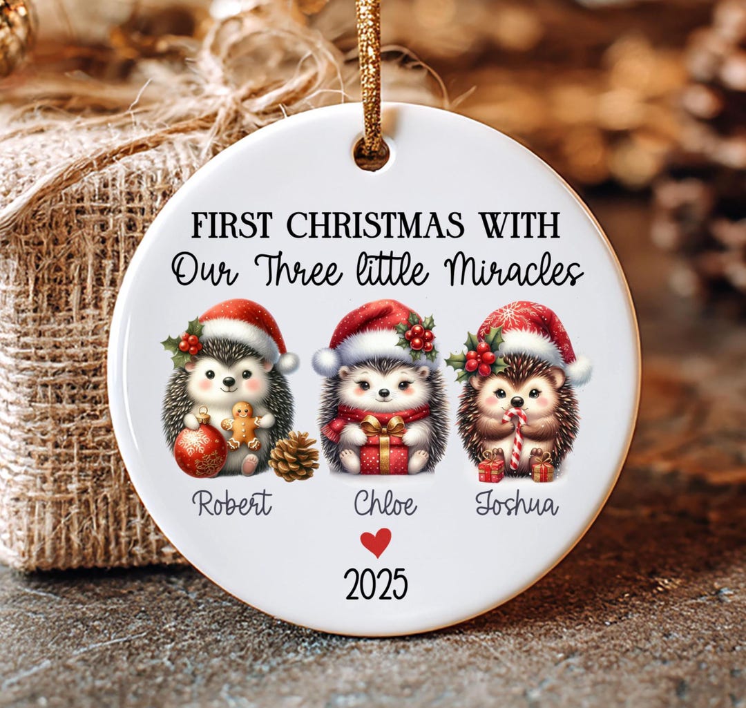Triplets' First Christmas, Personalized Hedgehog Triplets Christmas ...