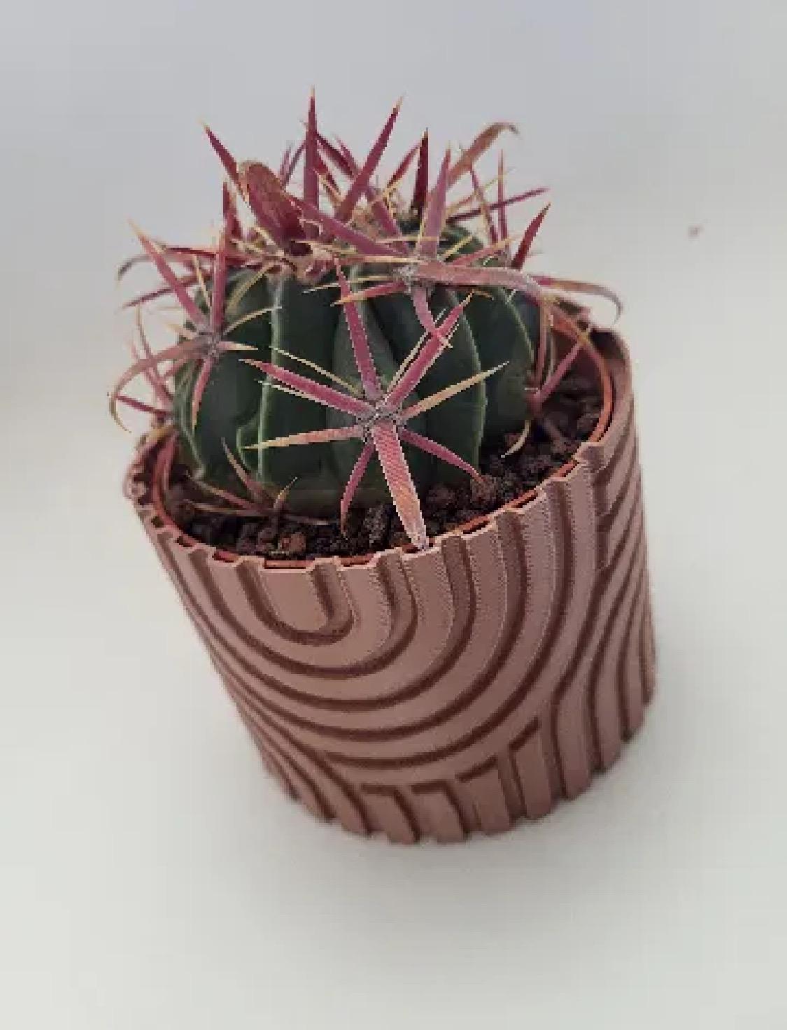 Desert Oasis Planter: Stylish Home for Your Plants - Etsy