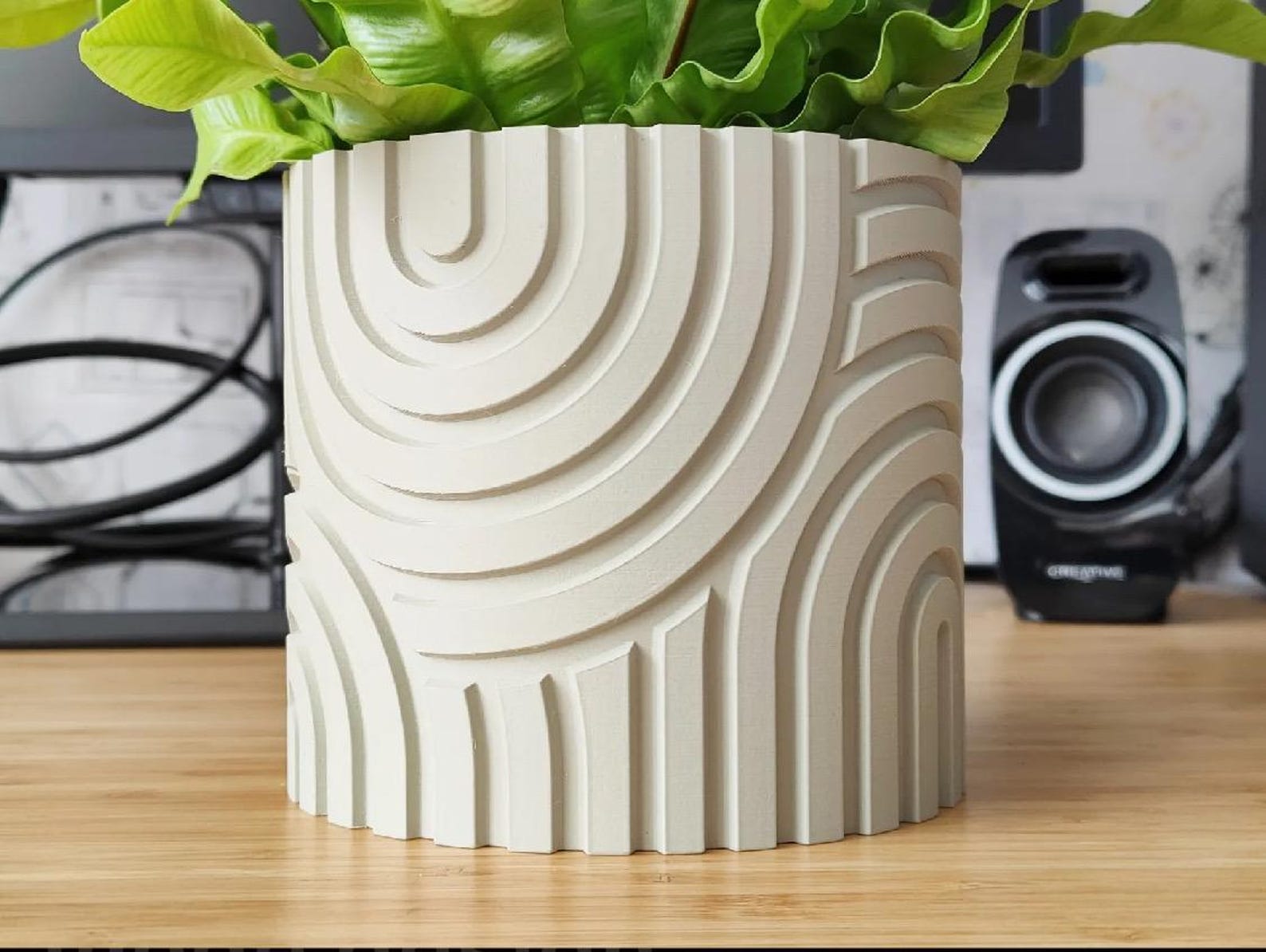 Desert Oasis Planter: Stylish Home for Your Plants - Etsy