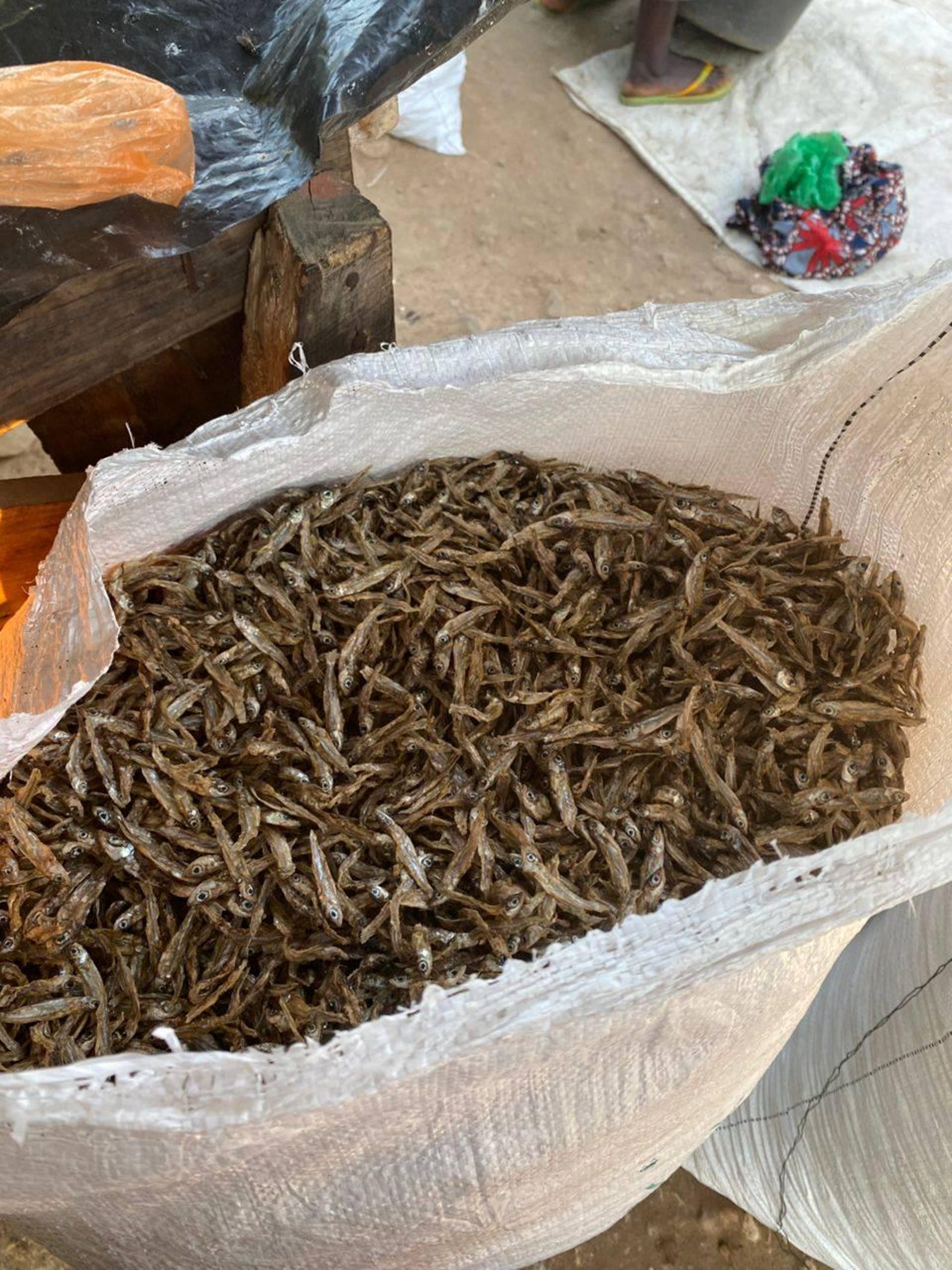 African Sun-dried Anchovies (chisense): Zambian Small Fish Delicacy ...