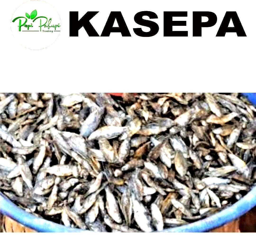 African Sun Dried Sardines "kasepa" - Zambian Pelagic Fish (1 Kg per ...