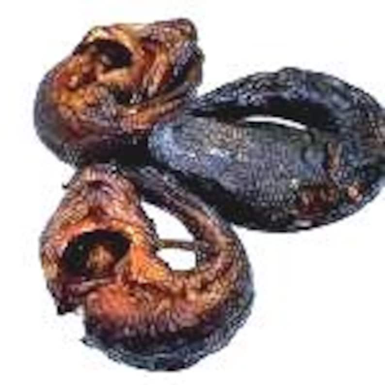 Dry African Catfish From Zambian River Harvest - 15 Whole Fish Pieces ...