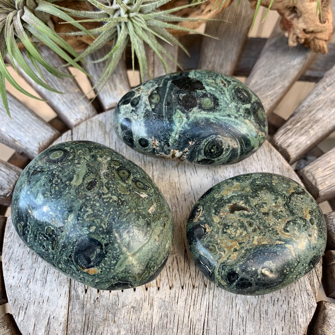 1 Kambaba Jasper Palm Stone Crystal Heart Chakra Nurturing Stone ...