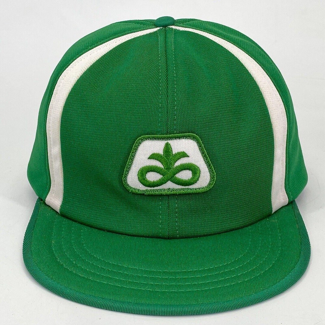 Vintage Pioneer Snapback Trucker Hat Size S/M Northern Cap USA Made (H5 ...