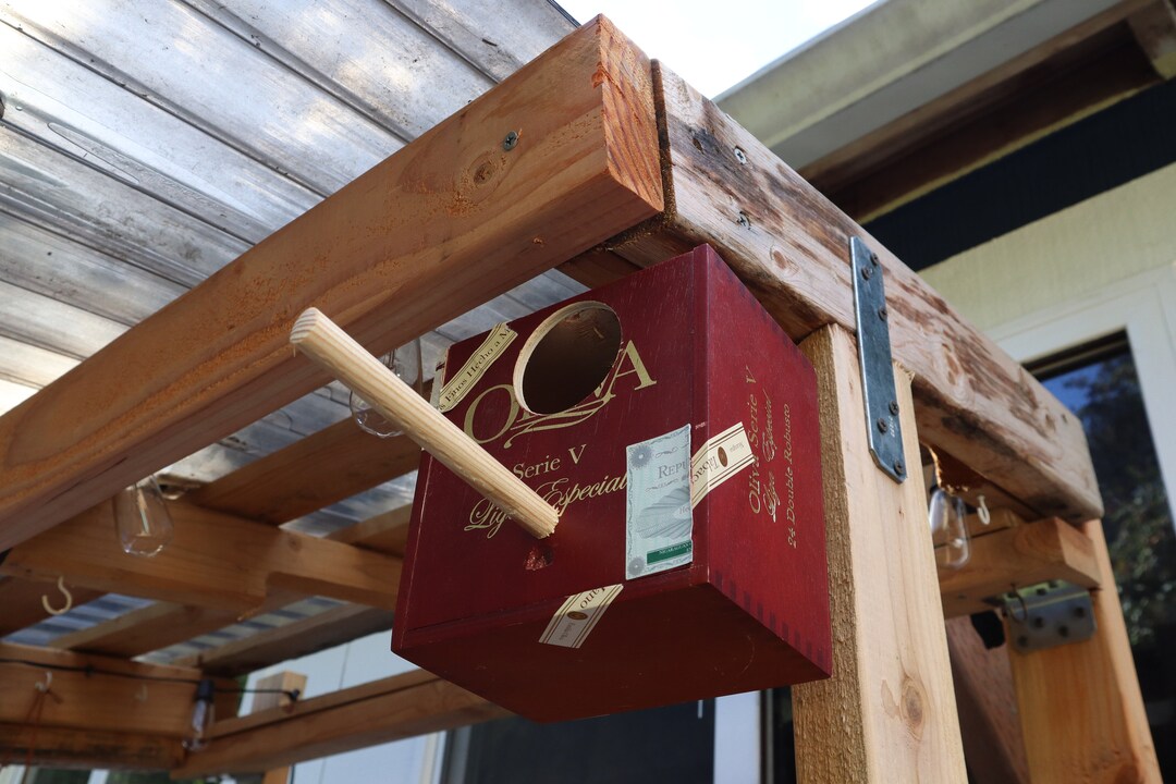 Hanging Cigar Box Birdhouse Oliva - Etsy