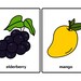Printable Fruit Flashcards – Fun & Educational for Kids - Etsy