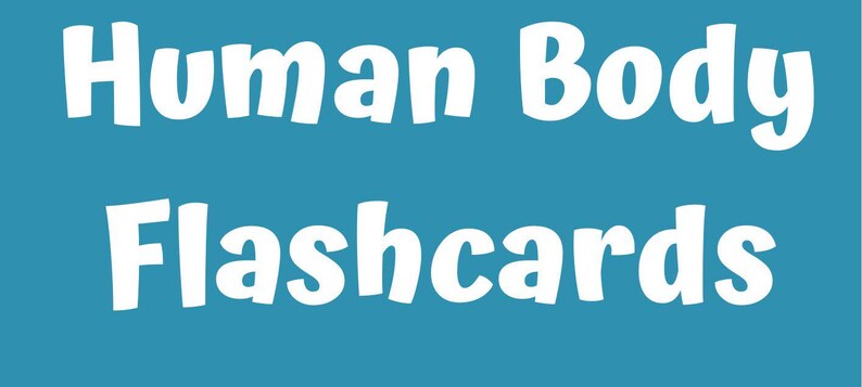 Interactive Human Body Flashcards – Engaging Educational Tool for Kids ...