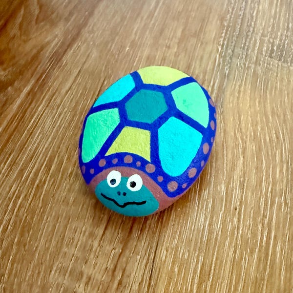 Painted Turtle Rock - Etsy