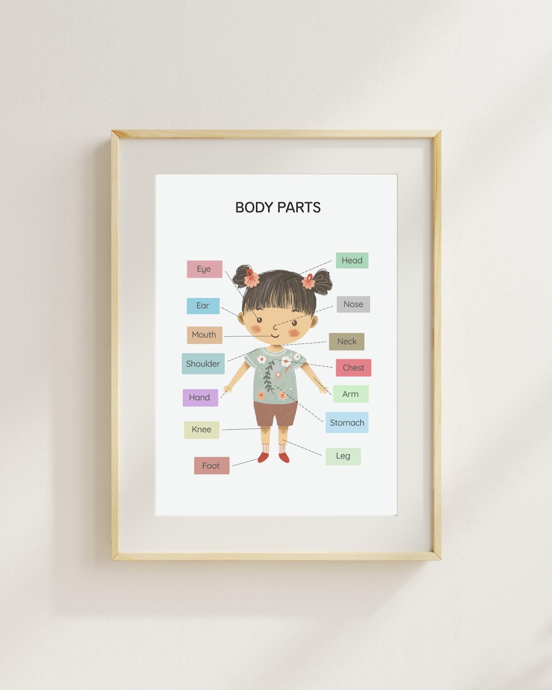 Girl Anatomy Poster: Pastel Body Parts Chart, Homeschool Decor (digital ...