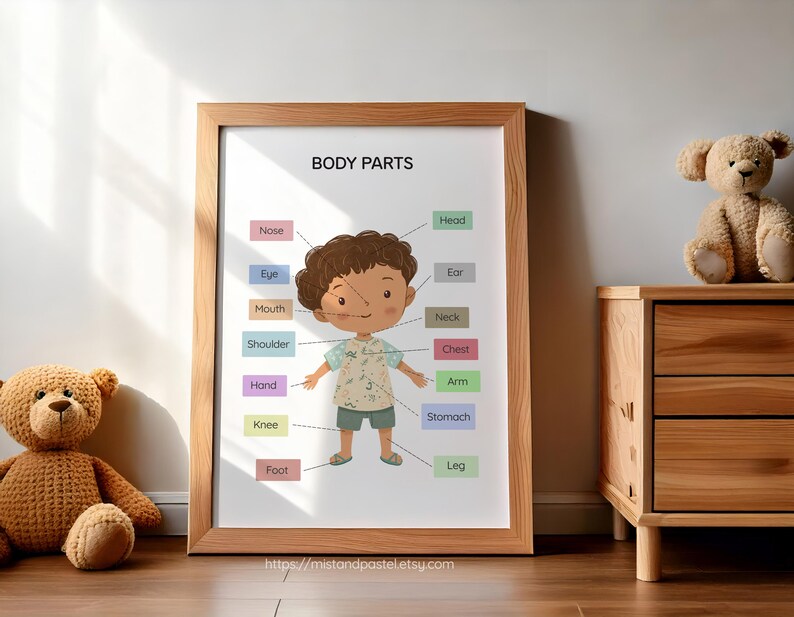 Body Parts Printable for Kids – Educational Boy Anatomy Poster, Chart ...