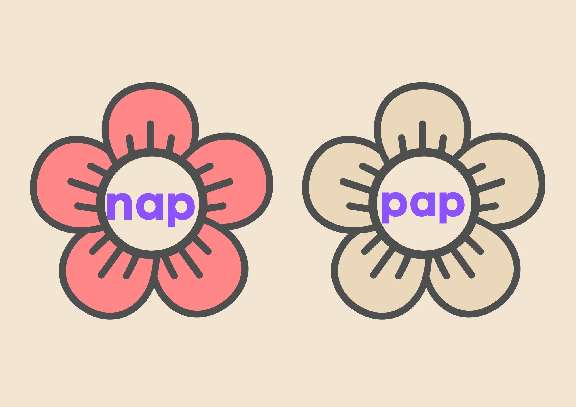 Short A CVC Word Family Flashcards | Flower Theme Printable (PDF ...