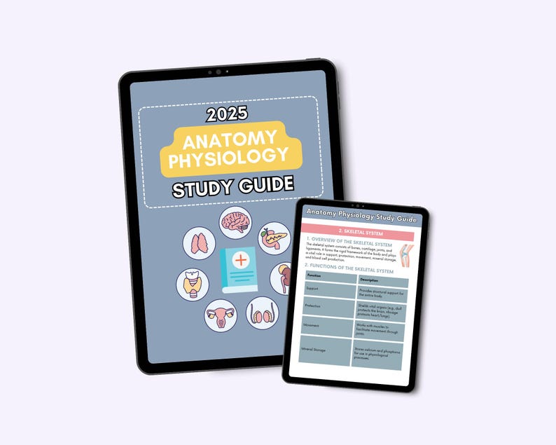 Ultimate Anatomy and Physiology 145+ Pages, Anatomy Study Guide ...