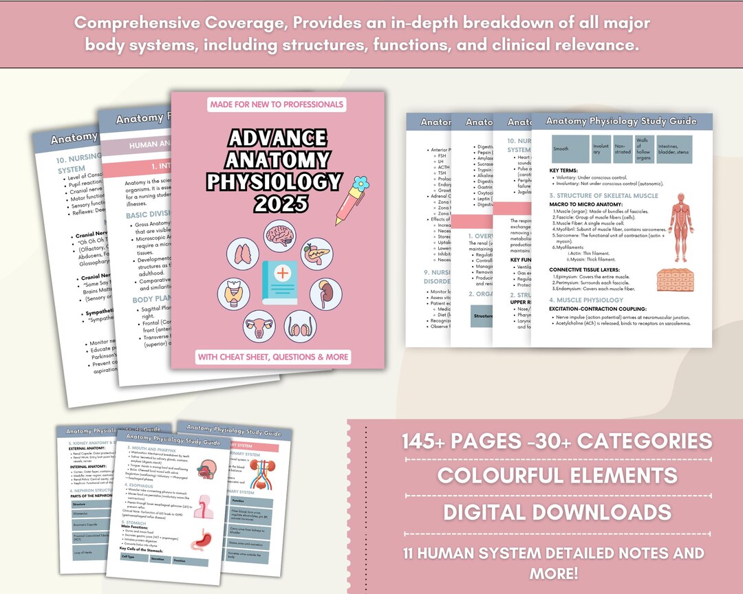 Ultimate Anatomy and Physiology 145+ Pages, Anatomy Study Guide ...