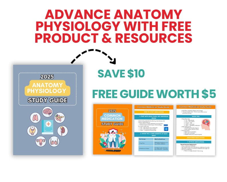 Ultimate Anatomy and Physiology 145+ Pages, Anatomy Study Guide ...