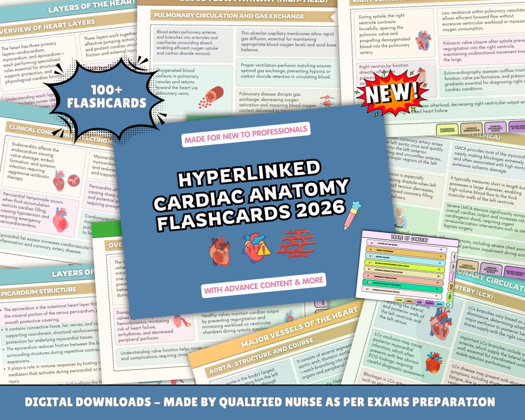 100+ Cardiac Anatomy Flashcards 2026, 10+ Topics, Hyperlinked (PDF ...