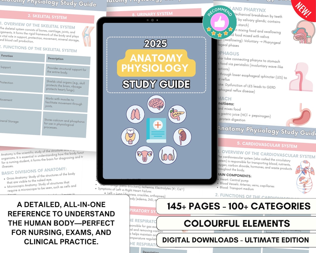 Ultimate Anatomy and Physiology 145+ Pages, Anatomy Study Guide ...
