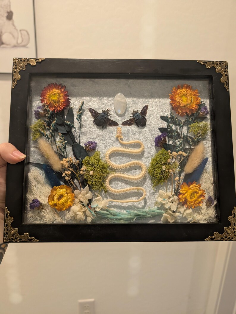 Real Snake Skeleton With Blue Carpenter Bees, Moonstone, and Dried ...