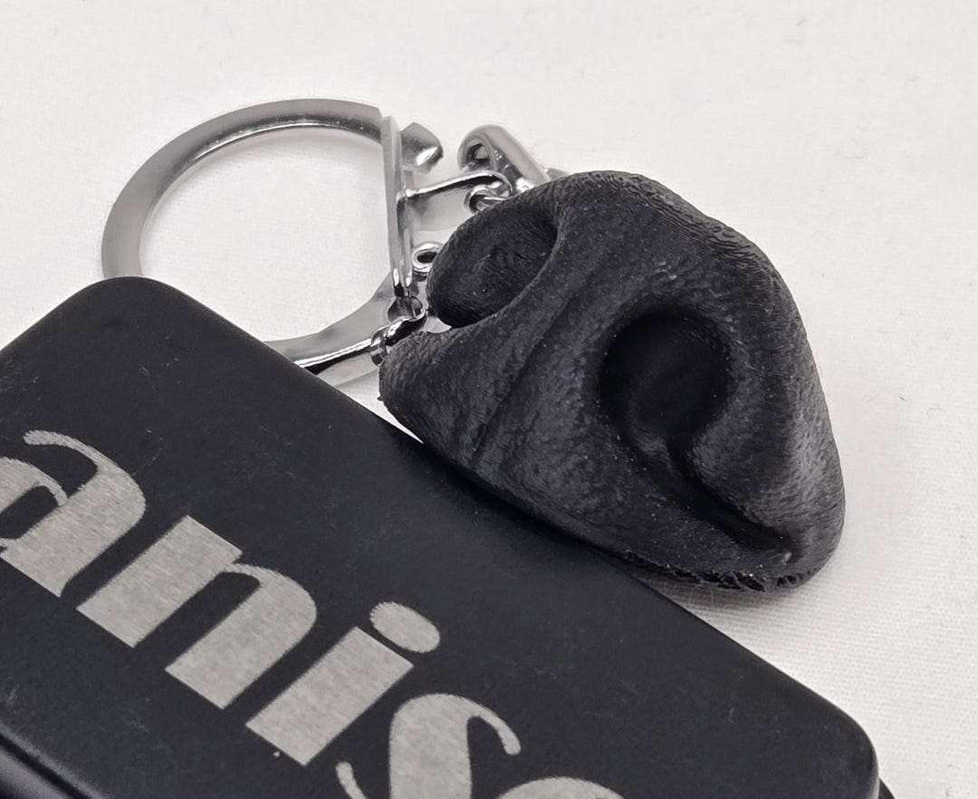 Dog Nose Keychain: Scent Work Gift for K9 Nosework Lovers - Etsy