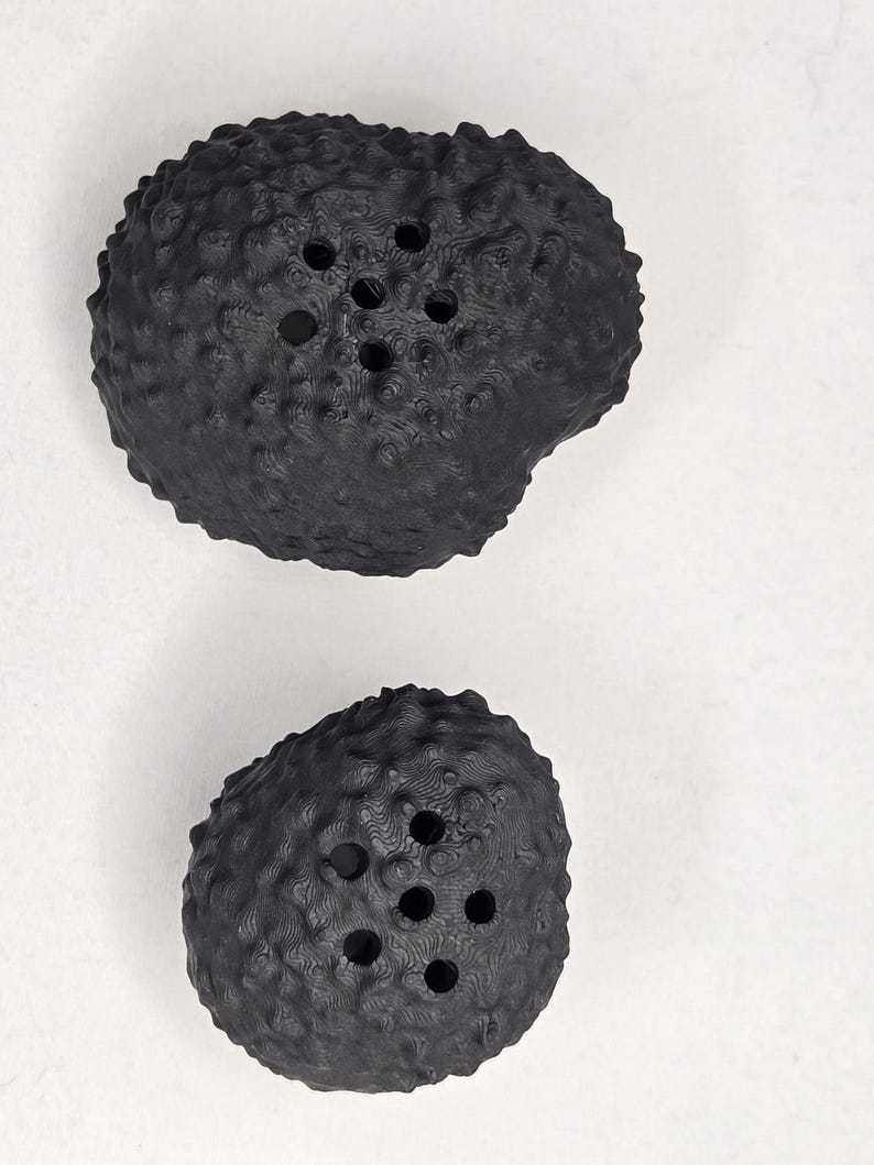 Truffle Dog Nose Work Trainer Set: Scent Detection Training - Etsy