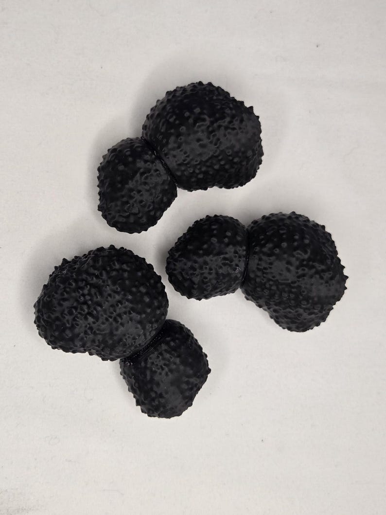 Truffle Dog Nose Work Trainer Set: Scent Detection Training - Etsy