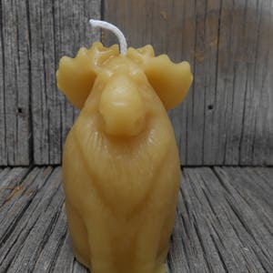 Moose Handmade Beeswax Candle - Etsy