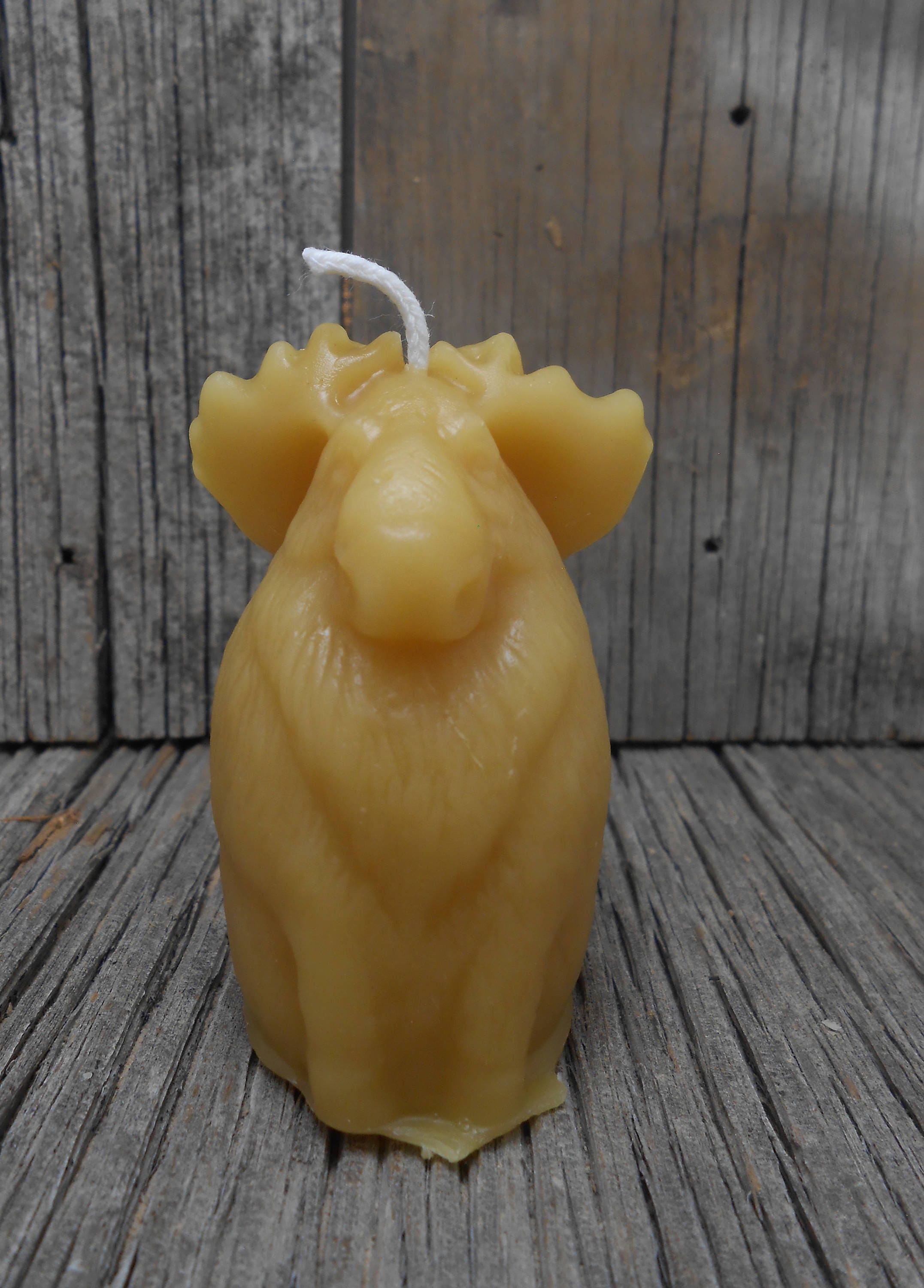 Moose Handmade Beeswax Candle - Etsy