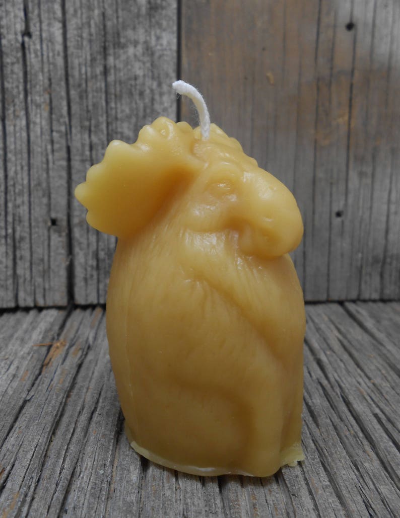 Moose Handmade Beeswax Candle - Etsy