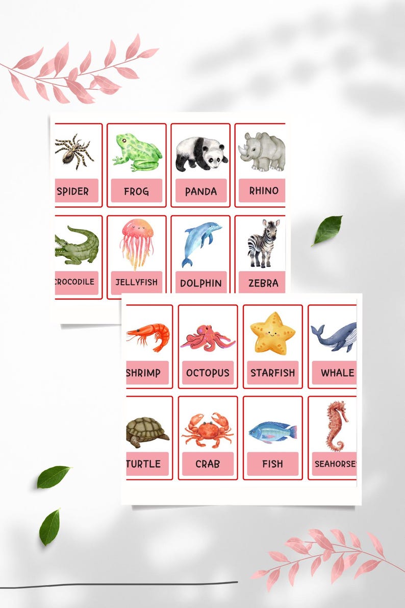 Flashcard Animal (template) - Etsy